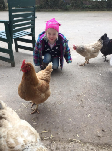 Wilde Ranch in Waldenbuch