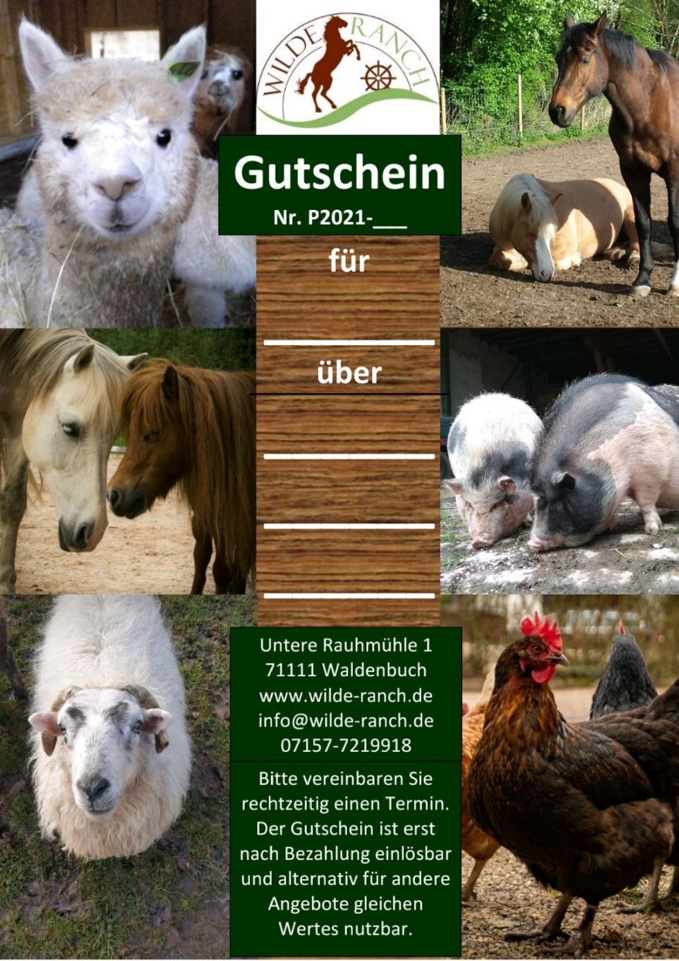 Hofladen | Wilde Ranch in Waldenbuch